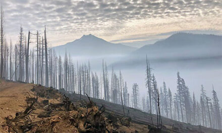 Tours : International Mass Timber Conference